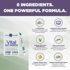 easy-to-use l-glutamine powder packs