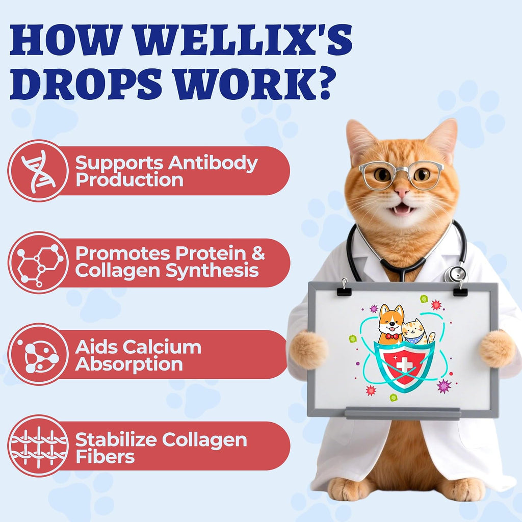 easy-to-use l-lysine drops