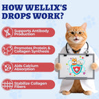 easy-to-use l-lysine drops