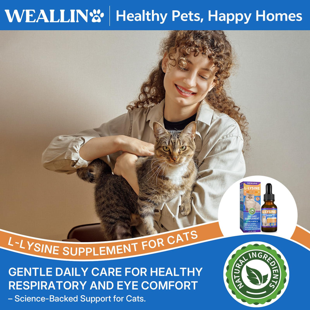 easy-to-use l-lysine for cats