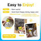 Easy-to-use L-lysine powder for pets