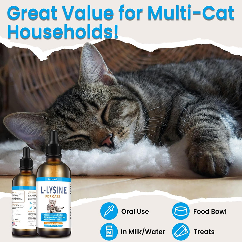 easy-to-use l-lysine powder