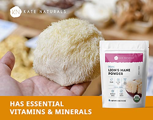 easy to use lion's mane powder