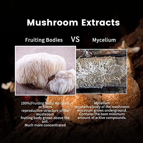 easy-to-use lions mane mushroom supplement