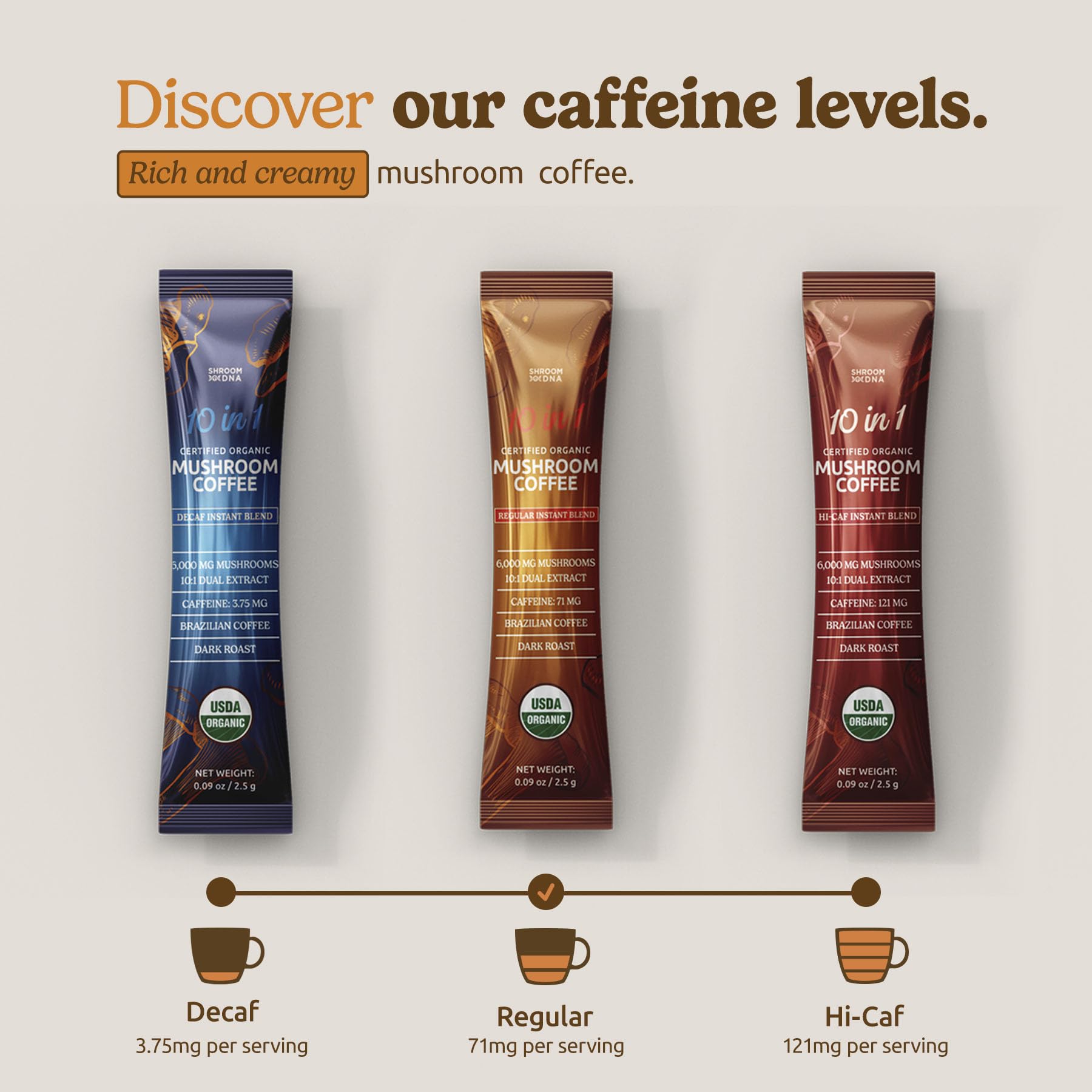 easy to use mushroom coffee