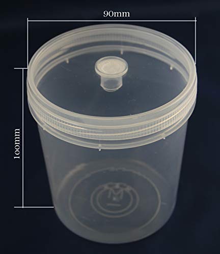 easy-to-use mushroom cultivation kits