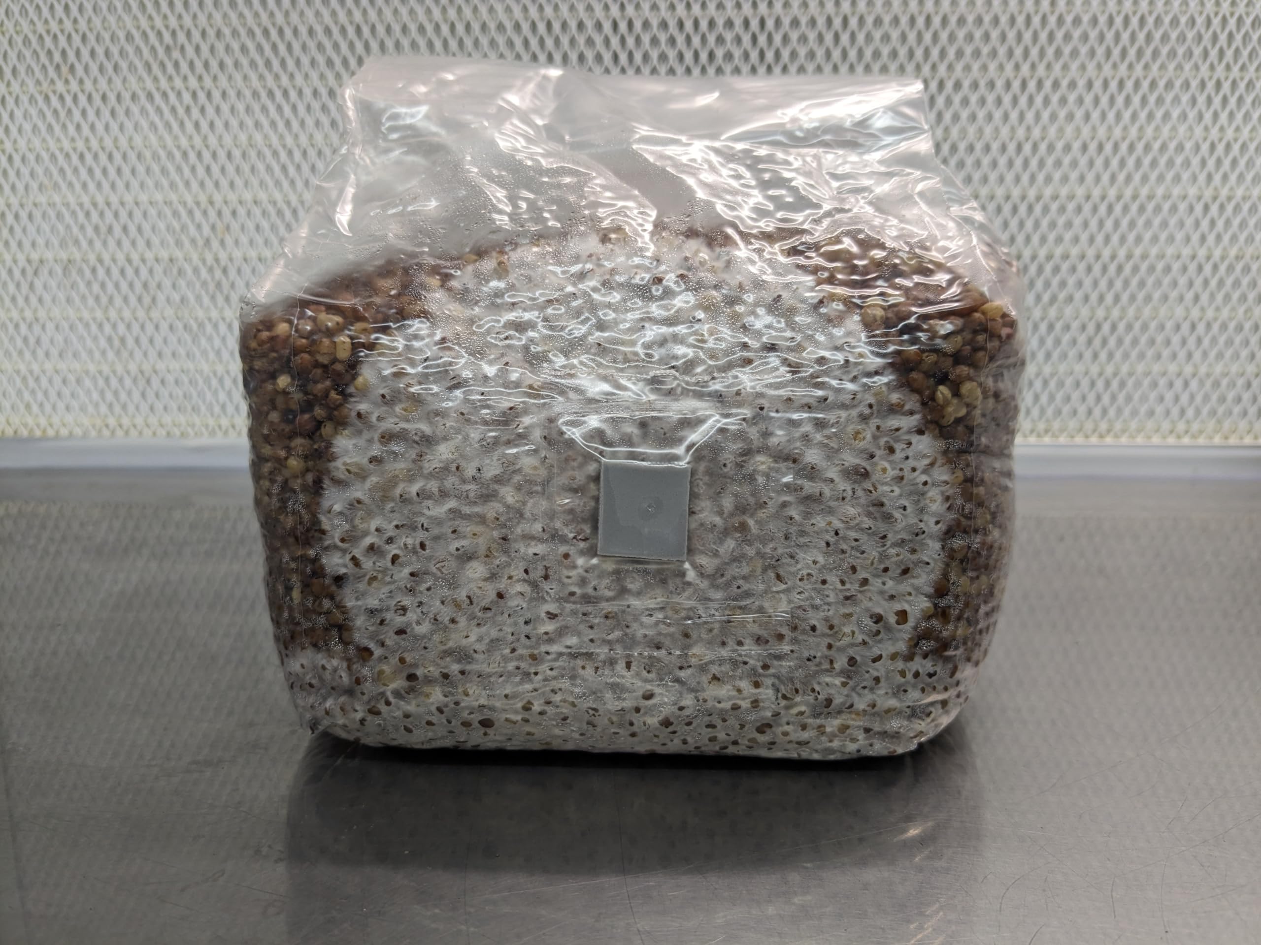 easy-to-use mushroom growing supplies