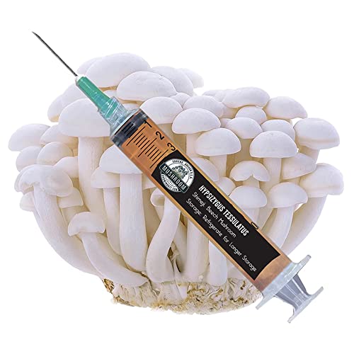 Easy to use mushroom growing syringe