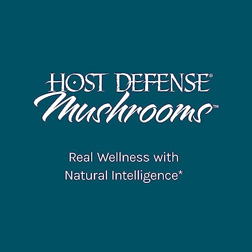 easy-to-use mushroom health powder