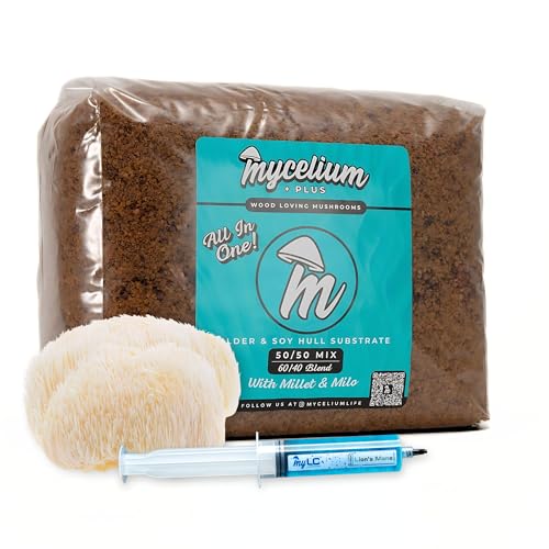 easy to use mushroom kit