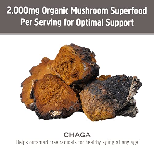 easy-to-use mushroom powder for recipes