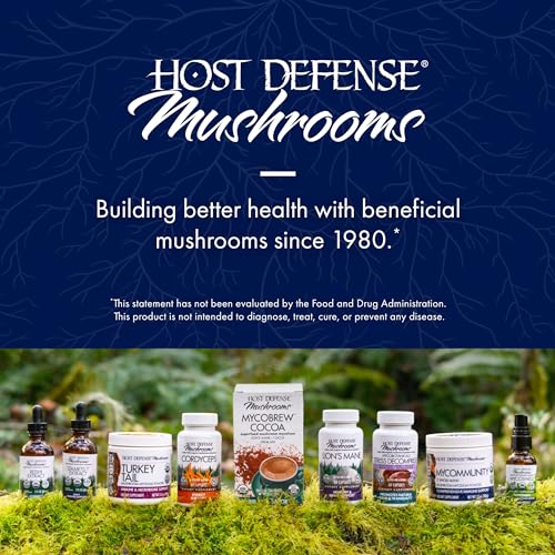easy-to-use mushroom powder supplement