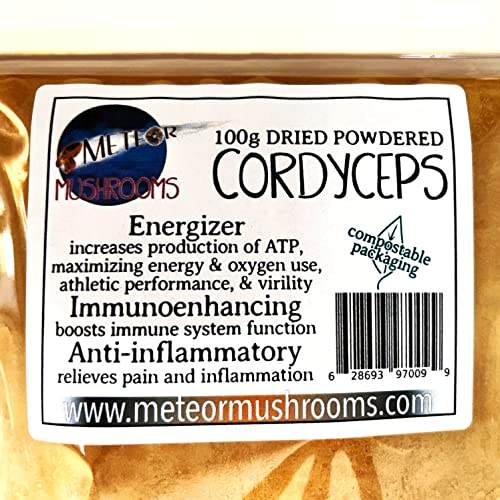 easy to use mushroom powder supplement