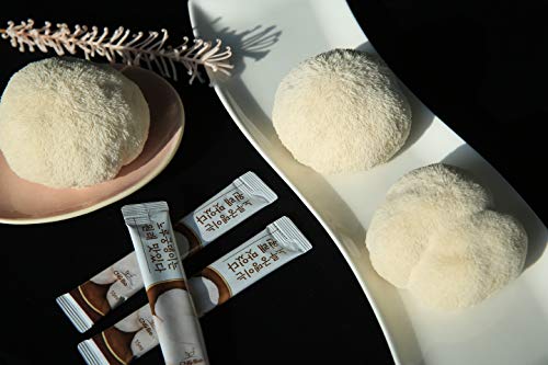 easy-to-use mushroom sticks for health