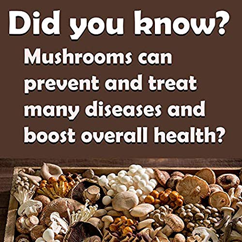 easy-to-use mushroom supplement powder