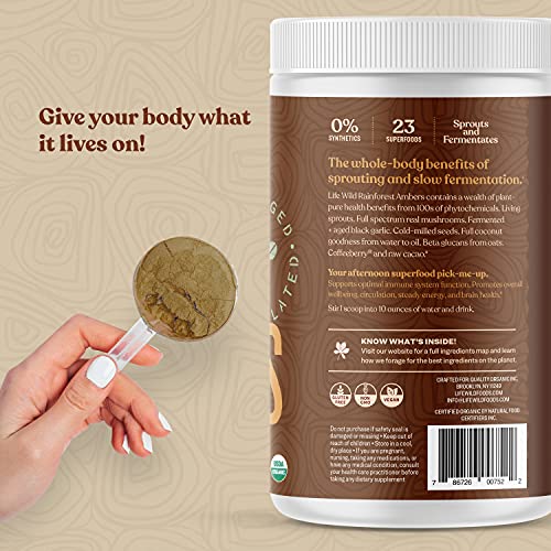 easy to use mushroom supplement