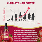 easy-to-use nad+ liquid formula