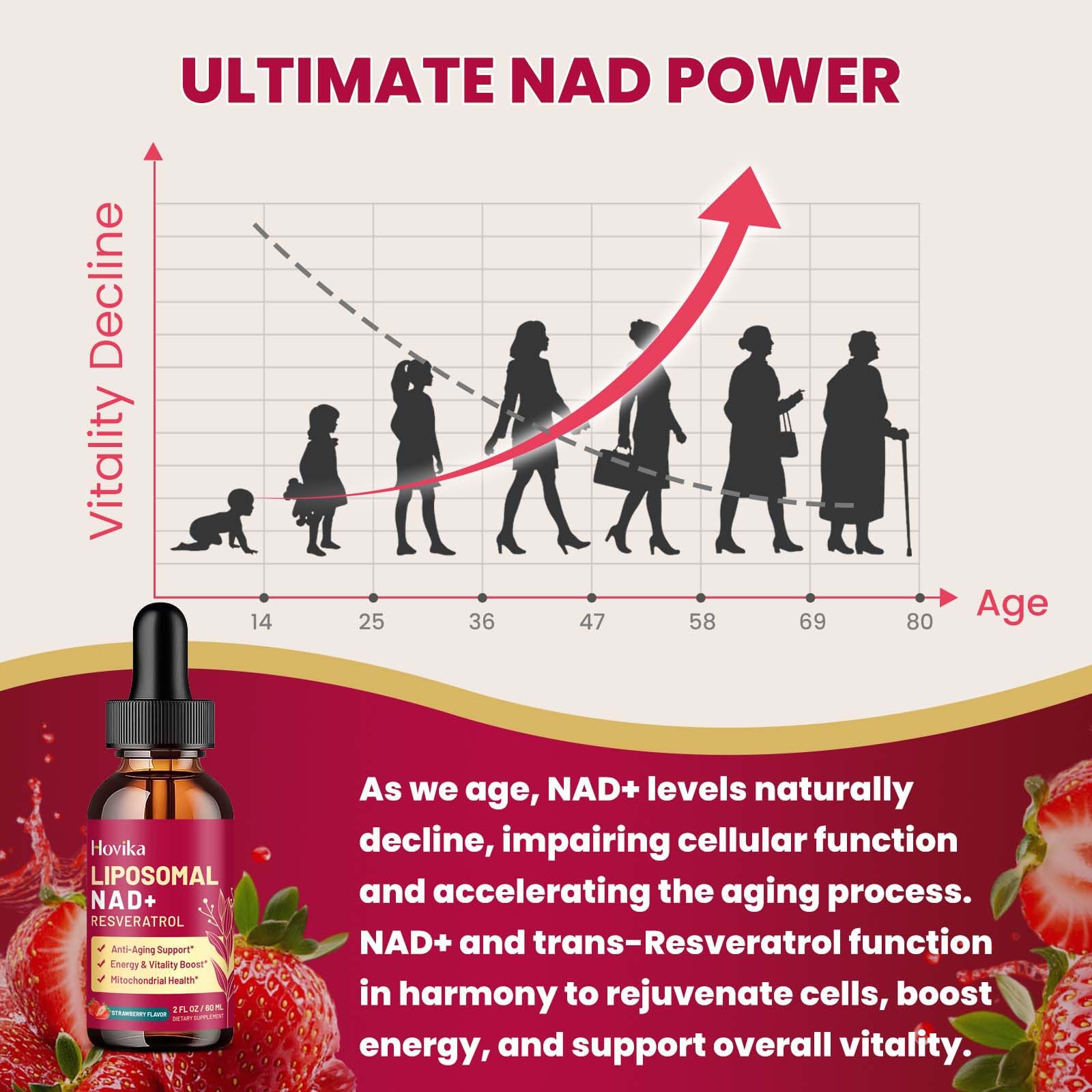 easy-to-use nad+ liquid formula