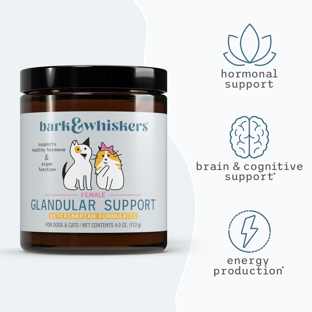 easy-to-use pet supplement scoops