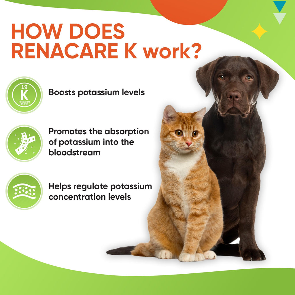 easy-to-use potassium supplement for cats