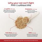 Easy-to-use powder for pets