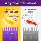 easy-to-use prebiotic fiber powder
