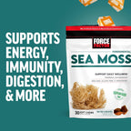 easy-to-use sea moss chews