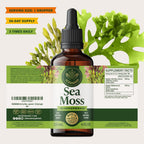 Easy-to-use sea moss drops