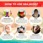 easy to use sea moss gel