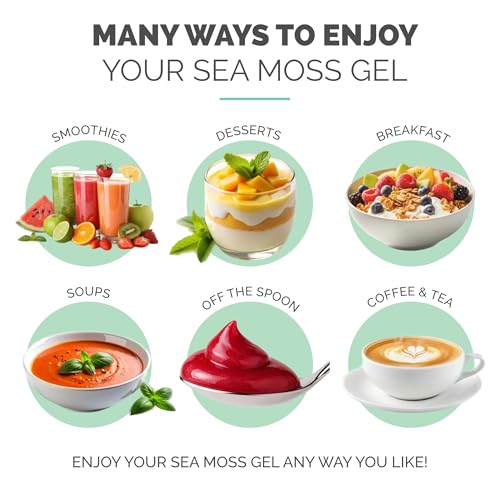 easy-to-use sea moss gel