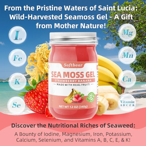 easy-to-use sea moss gel