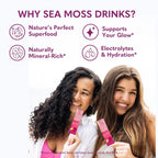 easy to use sea moss stick packs