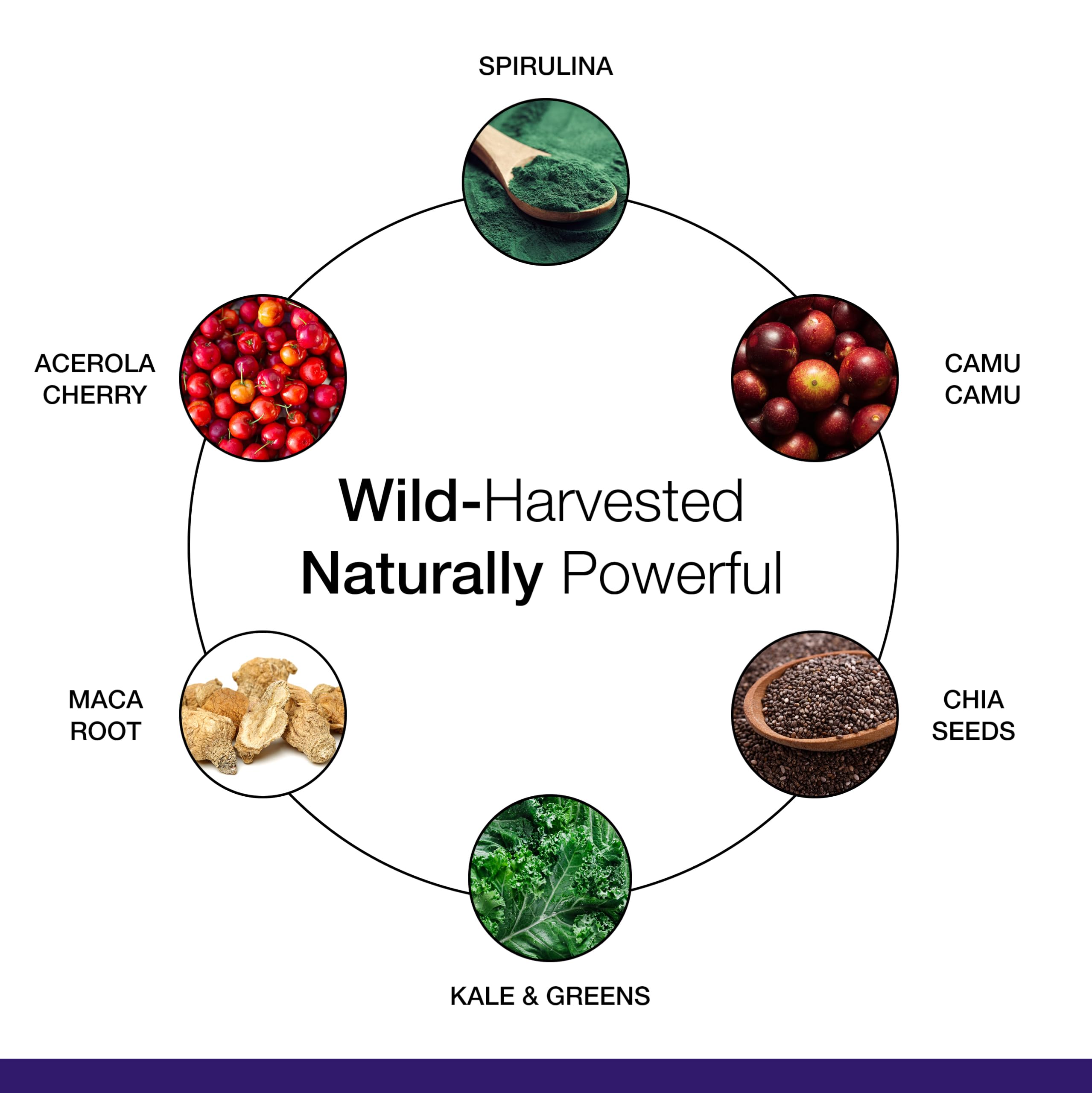 easy-to-use superfood for busy lifestyles
