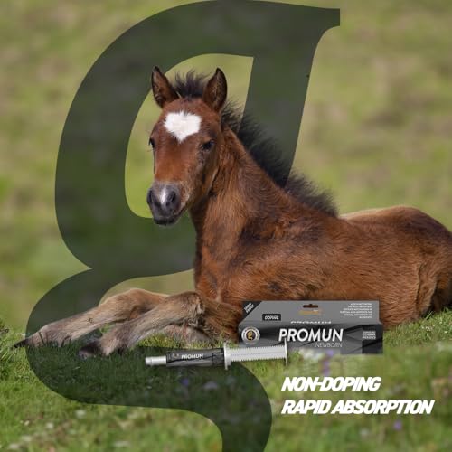 easy-to-use vitamin supplement for foals