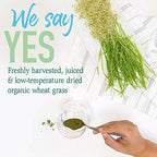 easy-to-use wheatgrass powder for recipes