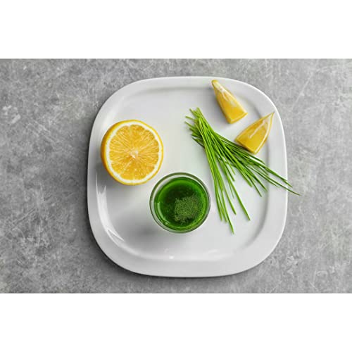 easy-to-use wheatgrass powder supplement