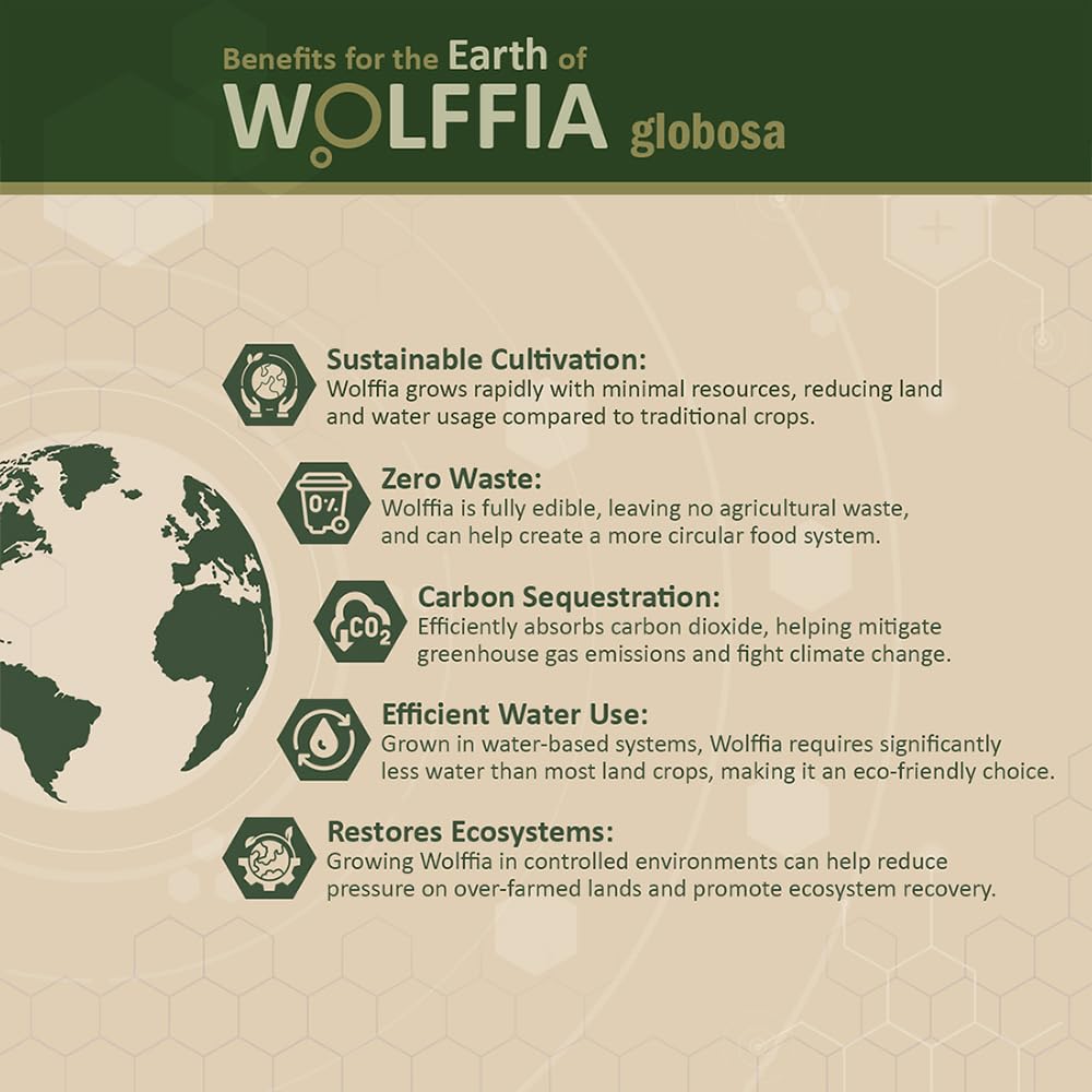 easy-to-use Wolffia Globosa supplement