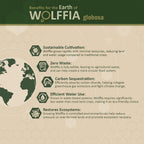 easy-to-use Wolffia Globosa supplement