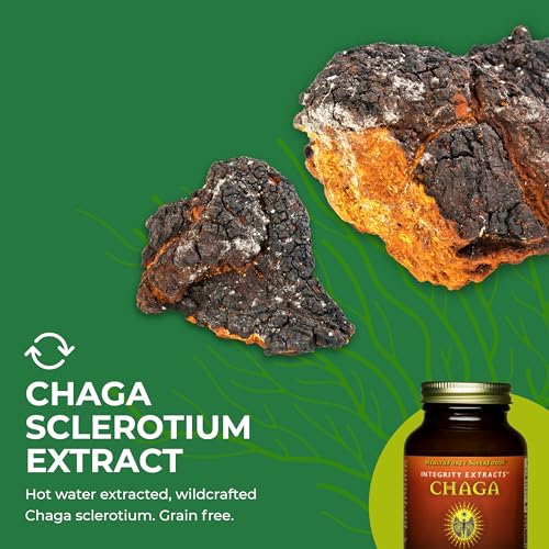 easy ways to use chaga powder