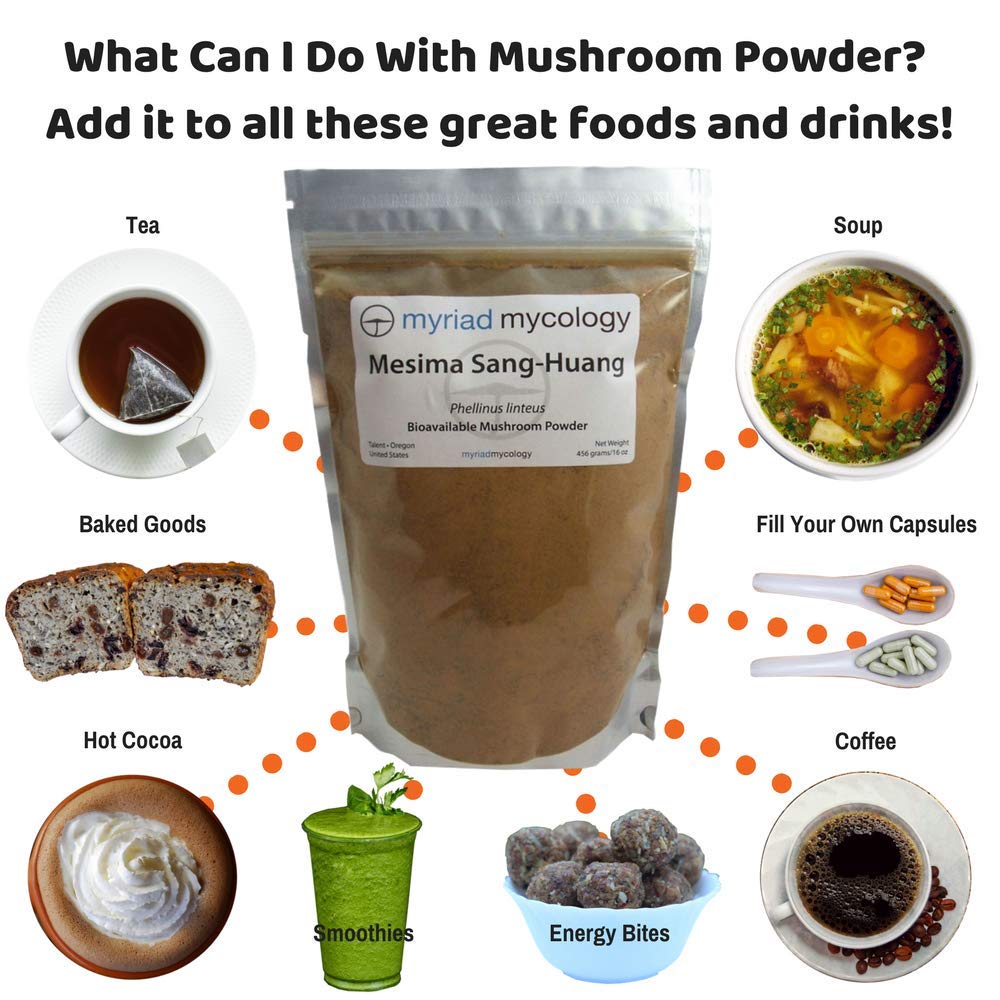 easy ways to use mushroom powder
