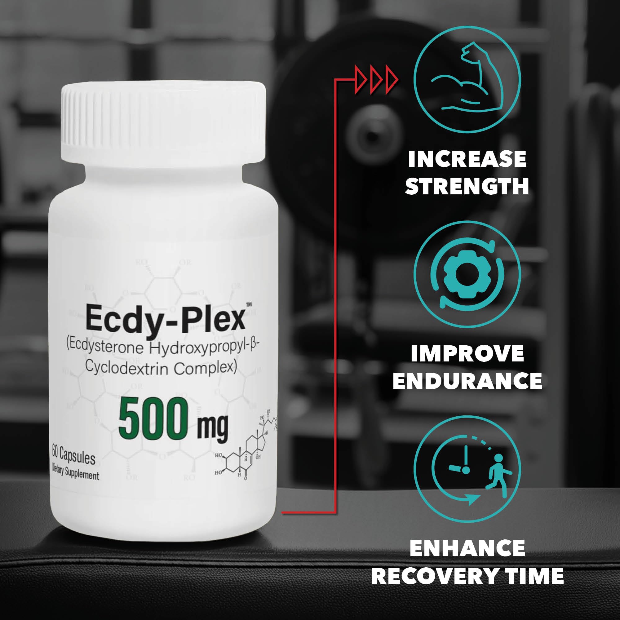 Ecdysterone for improved workout performance