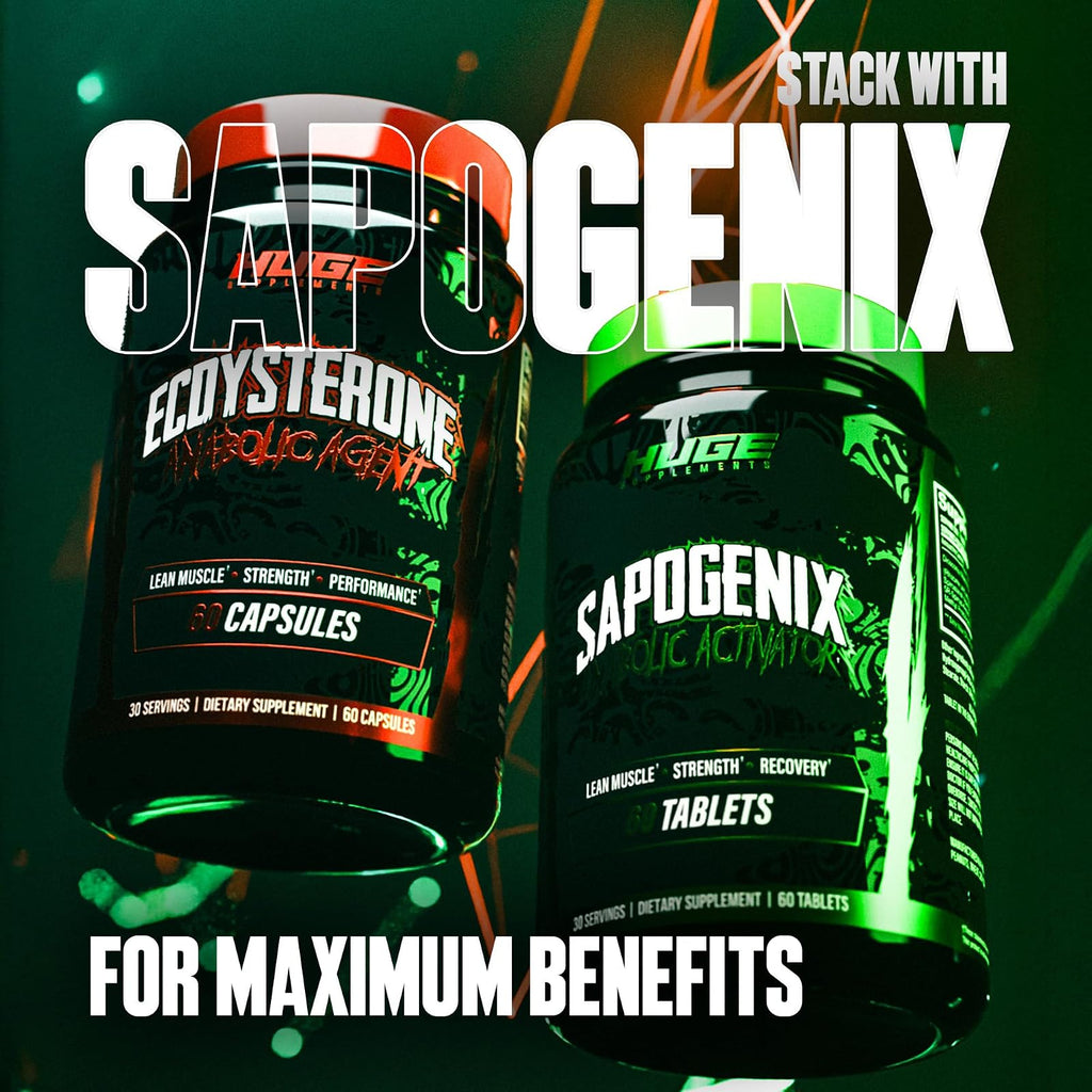 Ecdysterone for improved workout results