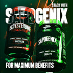 Ecdysterone for improved workout results