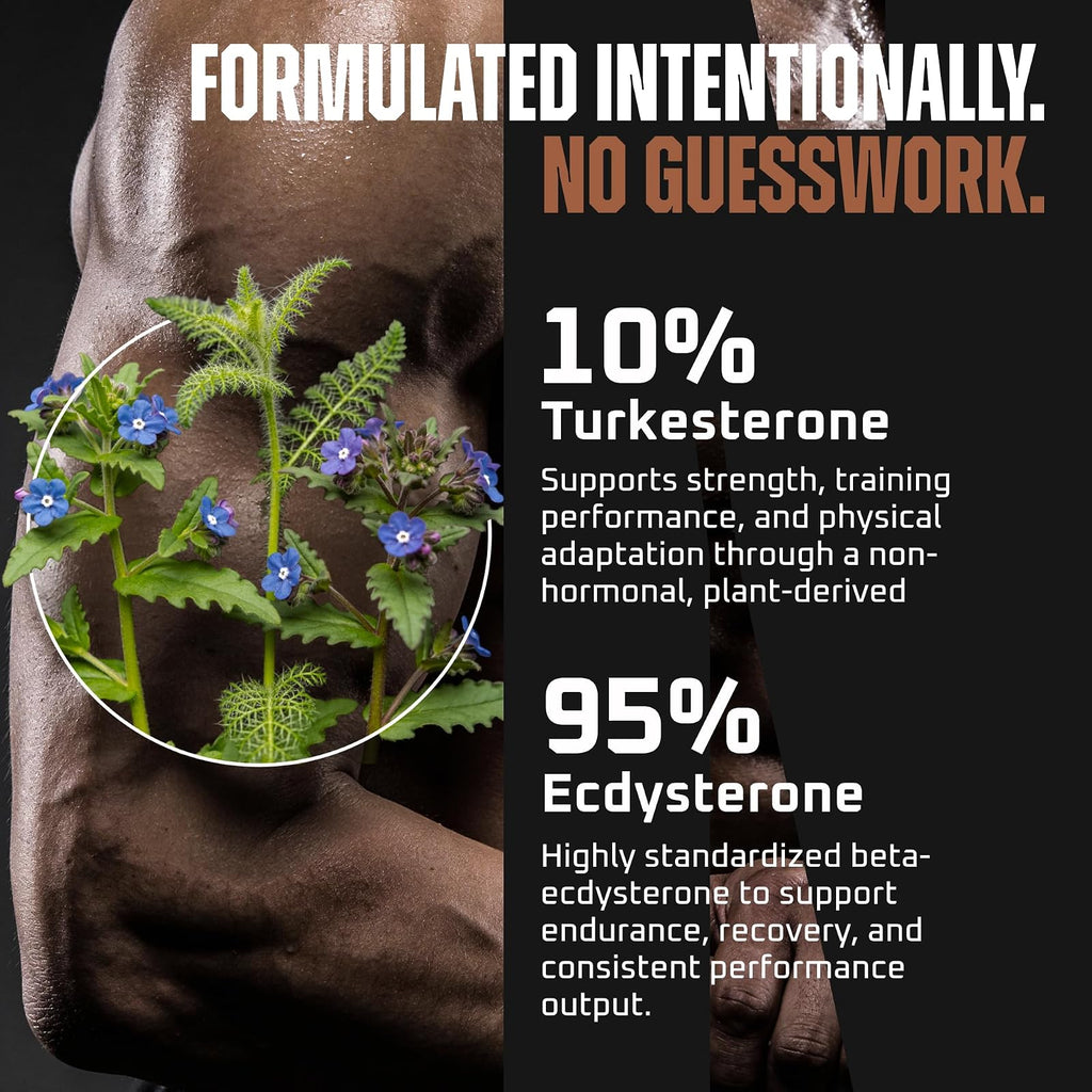 Ecdysterone for muscle growth support