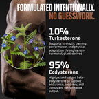 Ecdysterone for muscle growth support