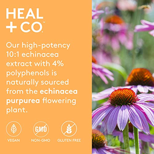 Echinacea 10:1 extract for vitality