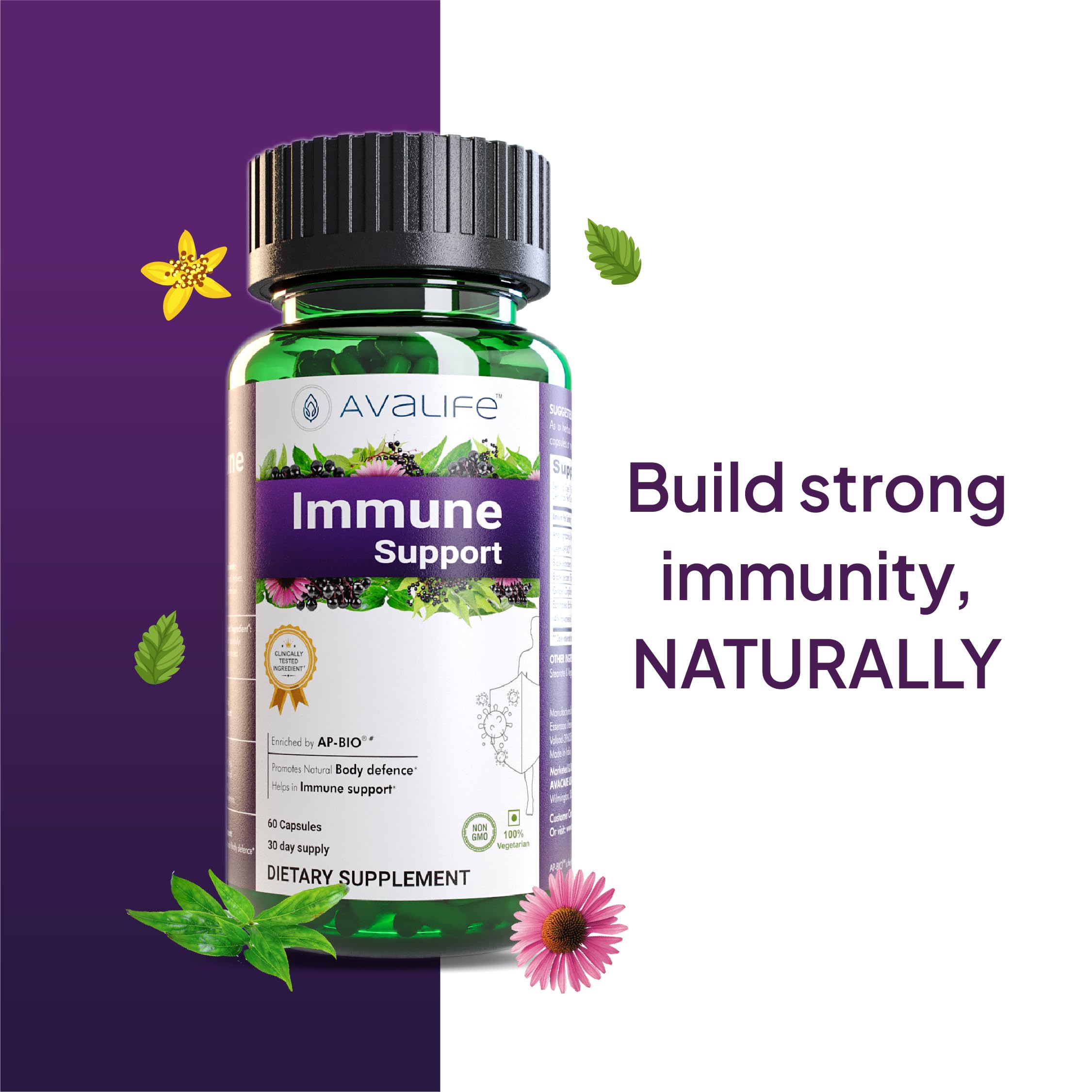 echinacea and andrographis benefits