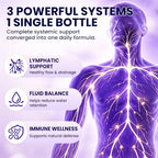 Echinacea and dandelion benefits