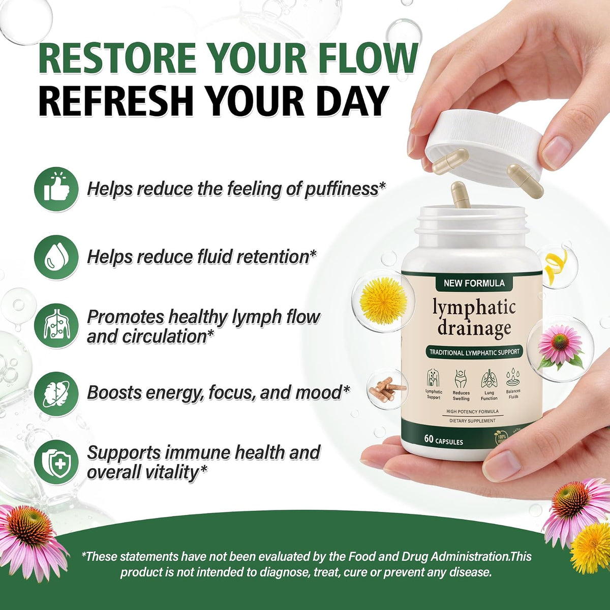 Echinacea and dandelion health benefits