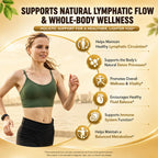Echinacea and dandelion herbal support